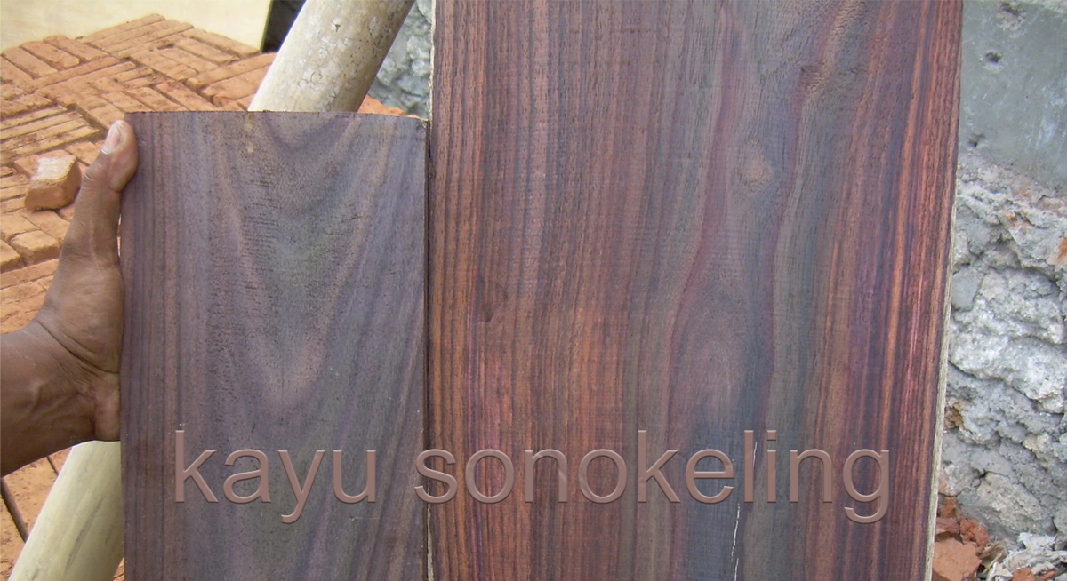 Mebel Kayu Sonokeling: Harga, Karakteristik & Kelebihannya (2025)